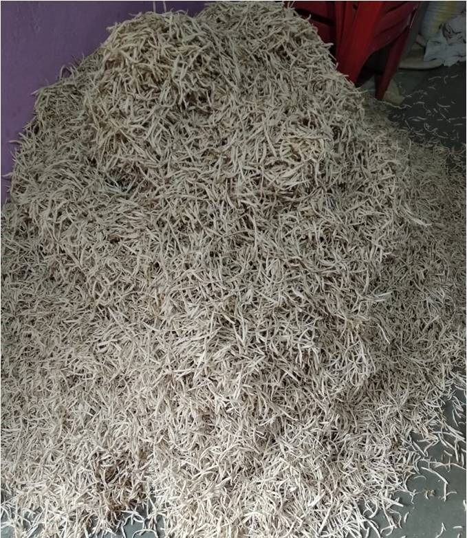 Find out the history, benefits and nutritional facts about Safed (white ...