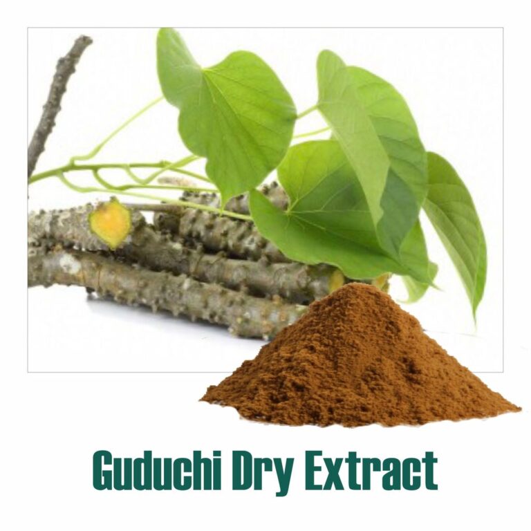 Guduchi/Giloy and its health benefits – Jairamdass Khushiram