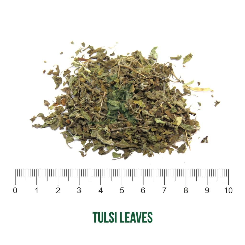 Do you know the benefits and common uses of Tulsi (Basil Leaves ...