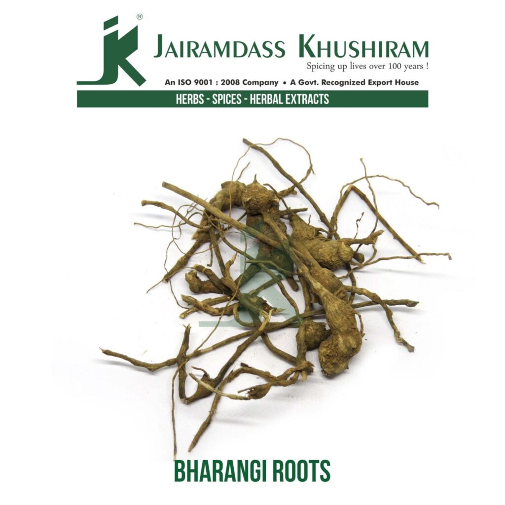 Learn how Bharangi Root is useful for vascular and intestine systems ...