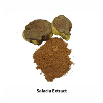 Want to know how Salacia Reticulata helps to promote overall blood ...