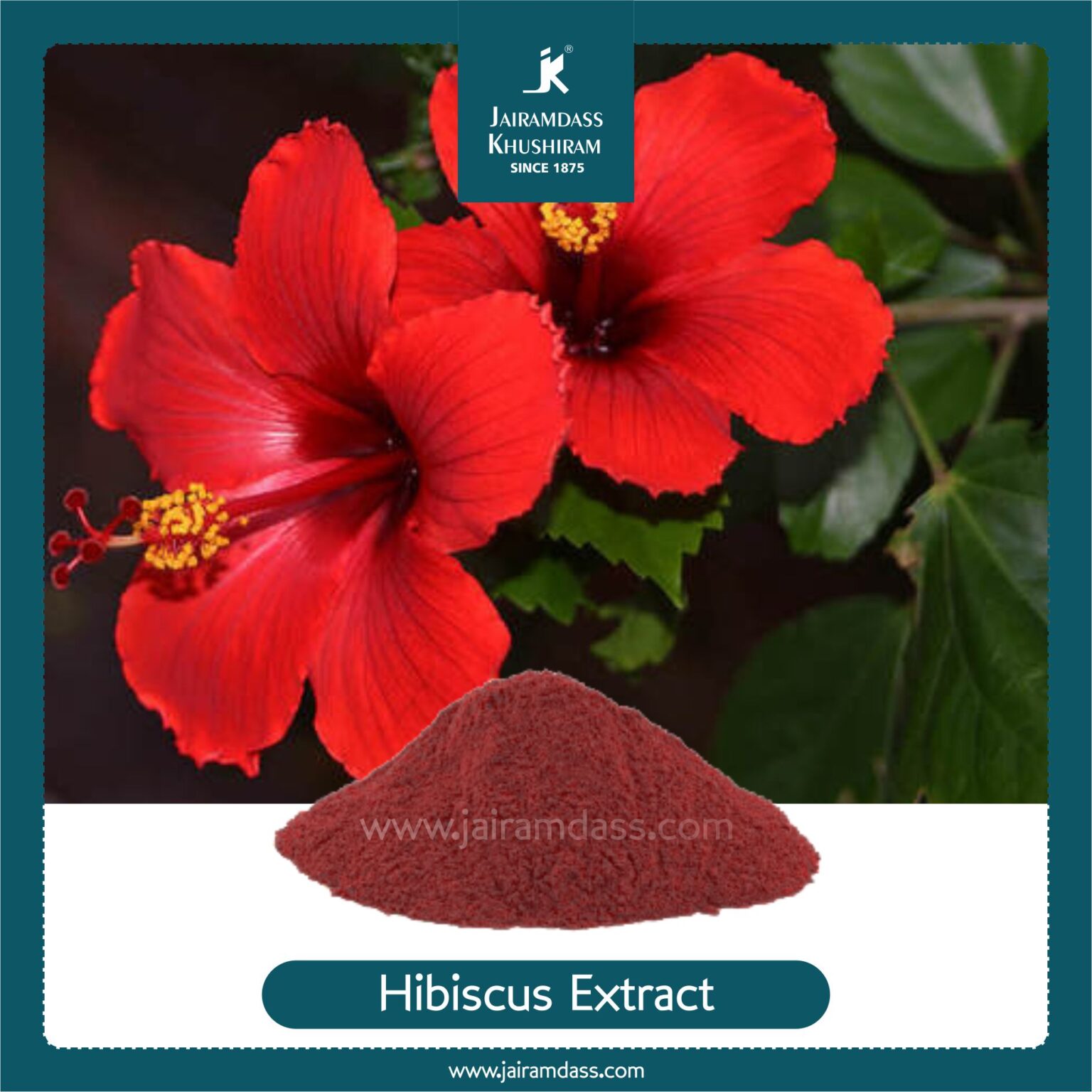 How is Hibiscus beneficial For Your Skin and Hair?? – Jairamdass Khushiram