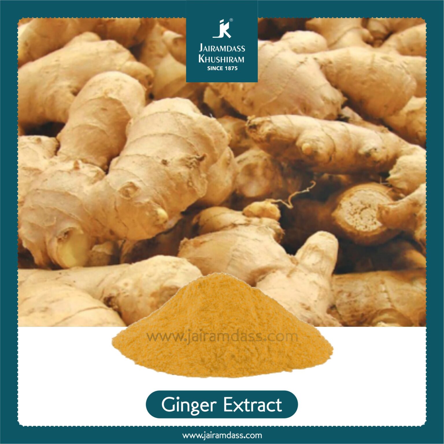 Different Types of Gingers and Their Benefits/Uses. – Jairamdass Khushiram