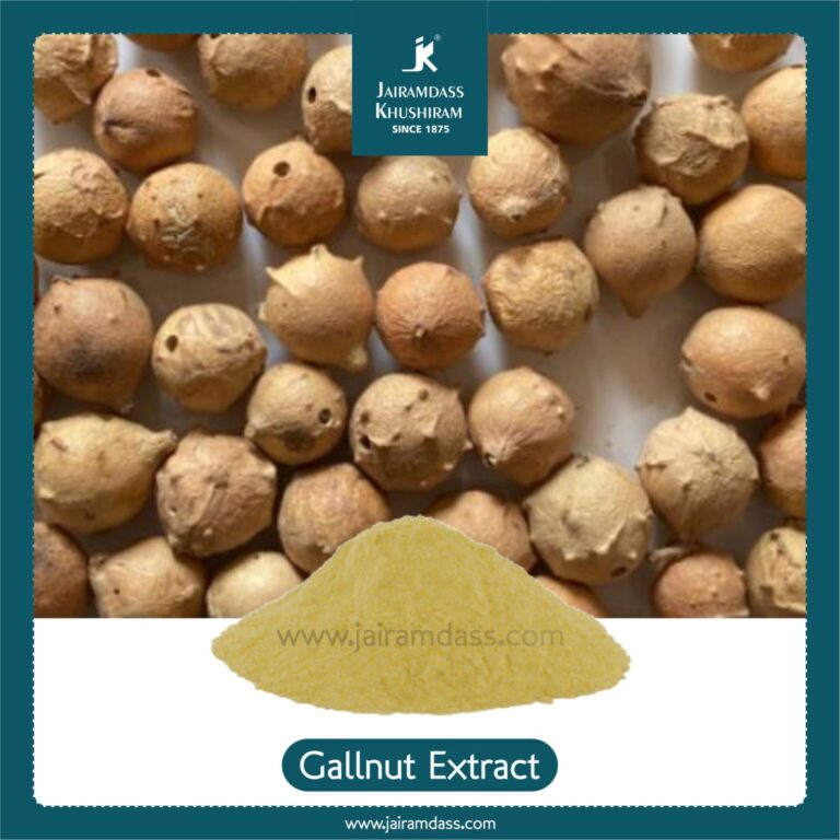 How are Gallnuts beneficial for your body? – Jairamdass Khushiram