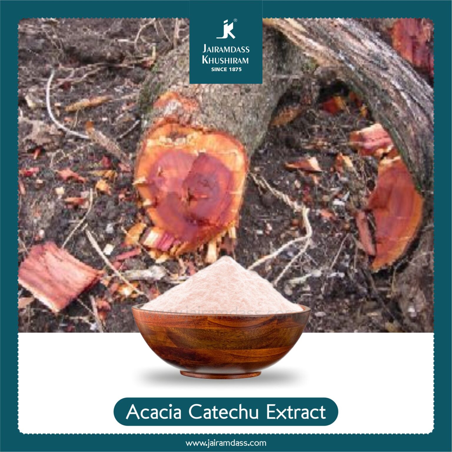 Manufacturer of Acacia Catechu Extract | Katha Extract