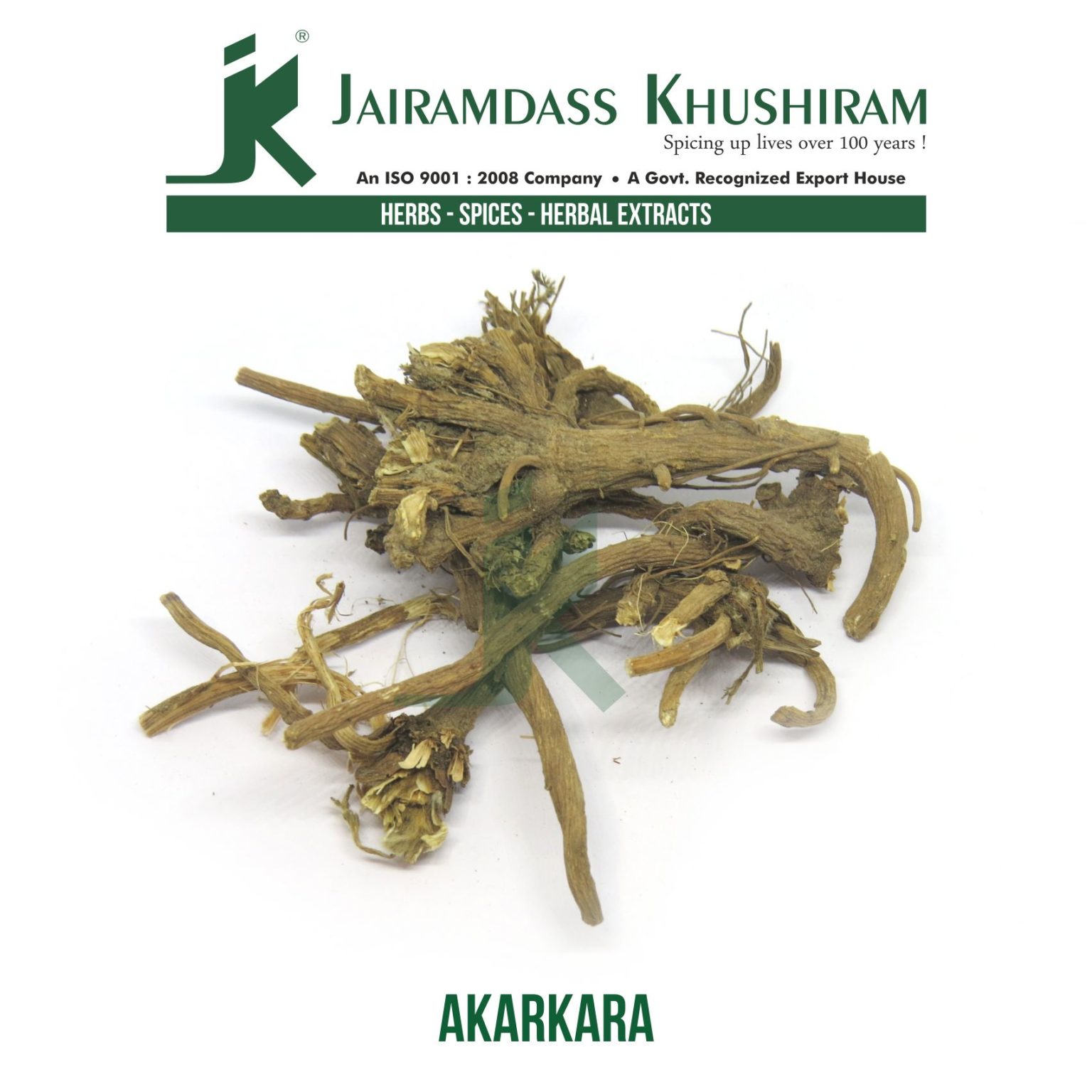 Pellitory Roots | Anacyclus Pyrethrum | Akarkara Root | Herbs ...