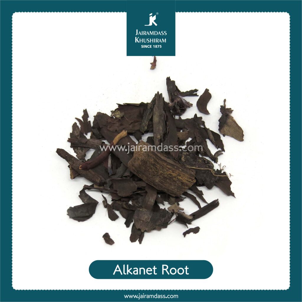 Alkanet Root | Arnebia Nobilis | Ratanjot | Herbs | Jairamdass Khushiram