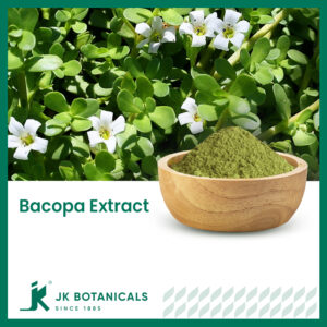 Manufacturer of Bacopa Monnieri Extract I Neer Brahmi Extract | JK ...