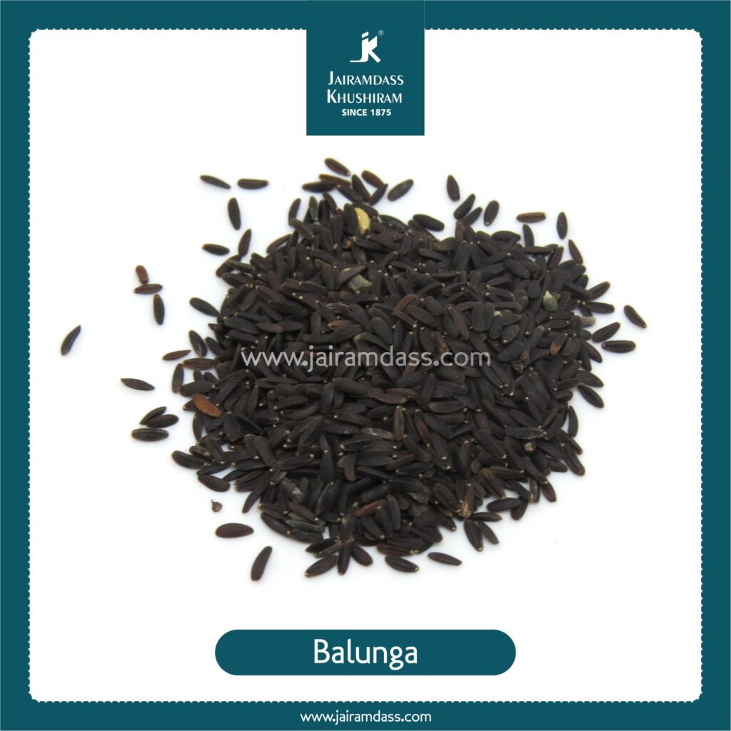 Balanga Seeds | Lallemantia Royleana | Herbs | Jairamdass Khushiram