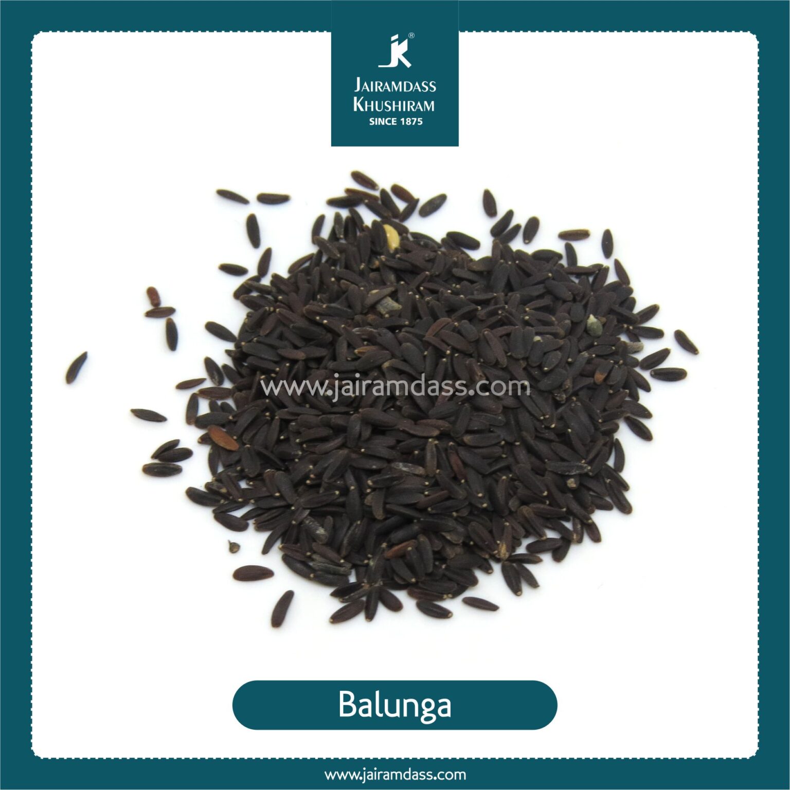 Balanga Seeds | Lallemantia Royleana | Herbs | Jairamdass Khushiram