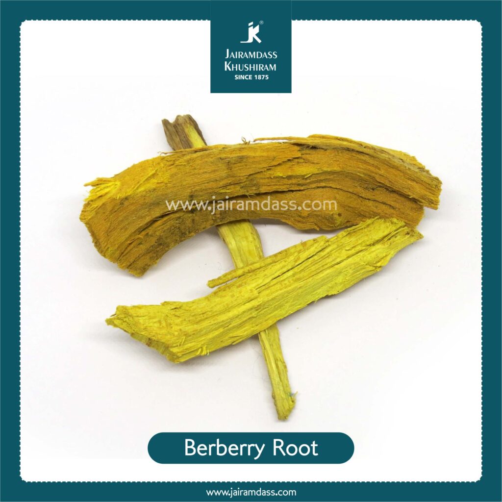 Barberry Root | Berberis Aristata | Herbs | Jairamdass Khushiram
