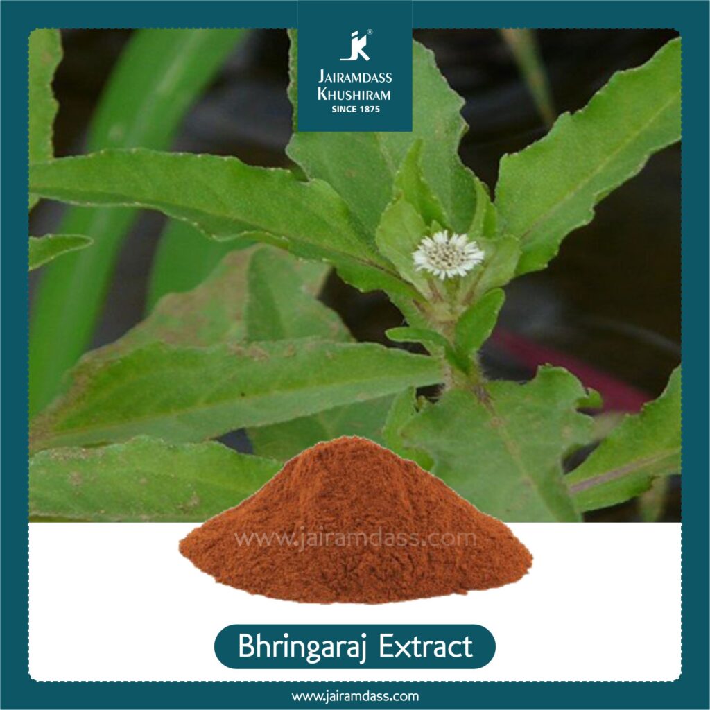 Bhringraj Extract | Eclipta Alba | Herbal Extracts | Jairamdass Khushiram