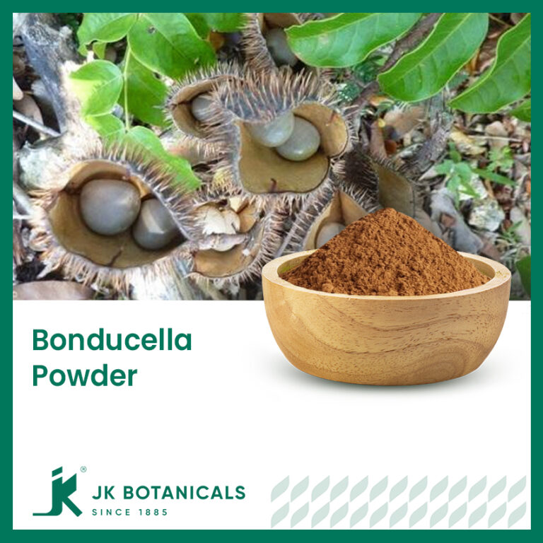 Botanical Powders | JK Botanicals