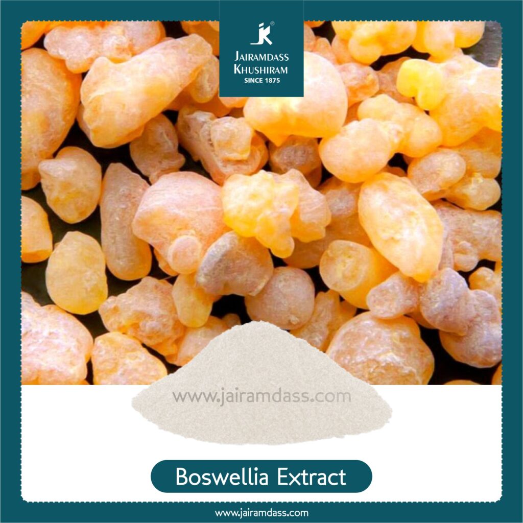 Indian Olibanum | Boswellia Serrata Extract | Herbal Extracts | JK ...