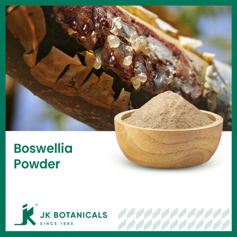 Botanical Powders | JK Botanicals