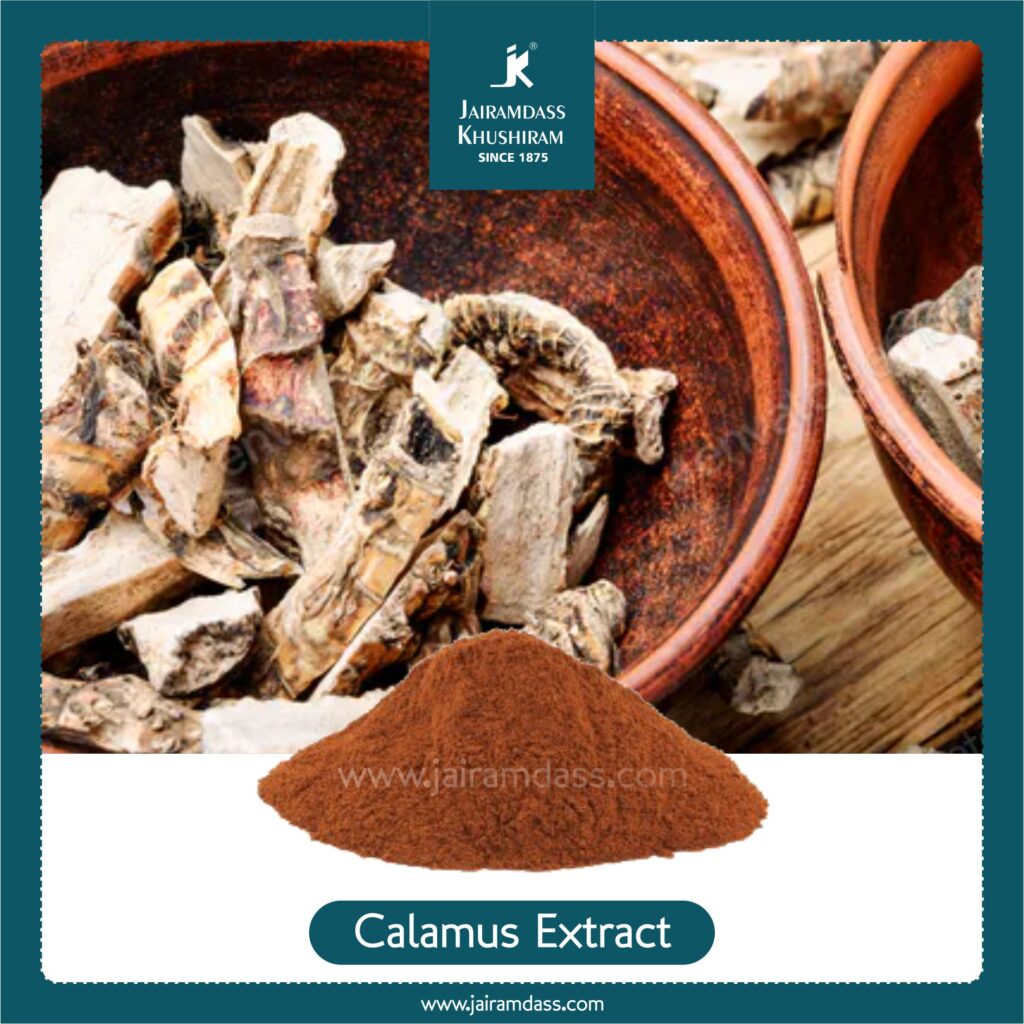 Calamus Extract | Acorus Calamus | Herbs Extracts | JK Botanicals