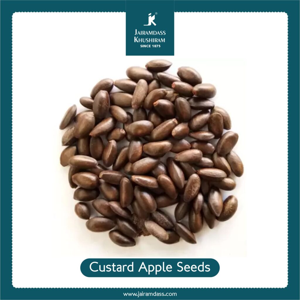 Custard Apple Seeds | Annona Squamosa | Herbs | Jairamdass Khushiram