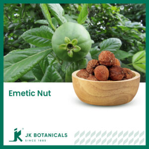 Emetic Nut | Randia Dumetorum | Herbs | JK Botanicals