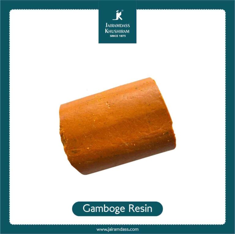 Gamboge Resin | Garcinia Hanburyi | Herbs | JK Botanicals