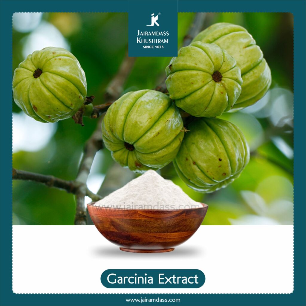 garcinia cambogia benefits | Jairamdass Khushiram