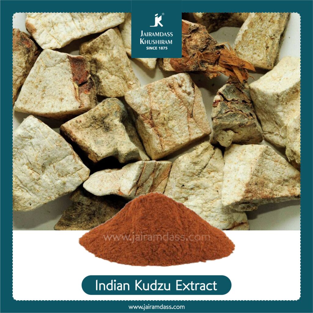 Vidarikand Extract | Pueraria Tuberosa | Herbal Extracts | JK Botanicals