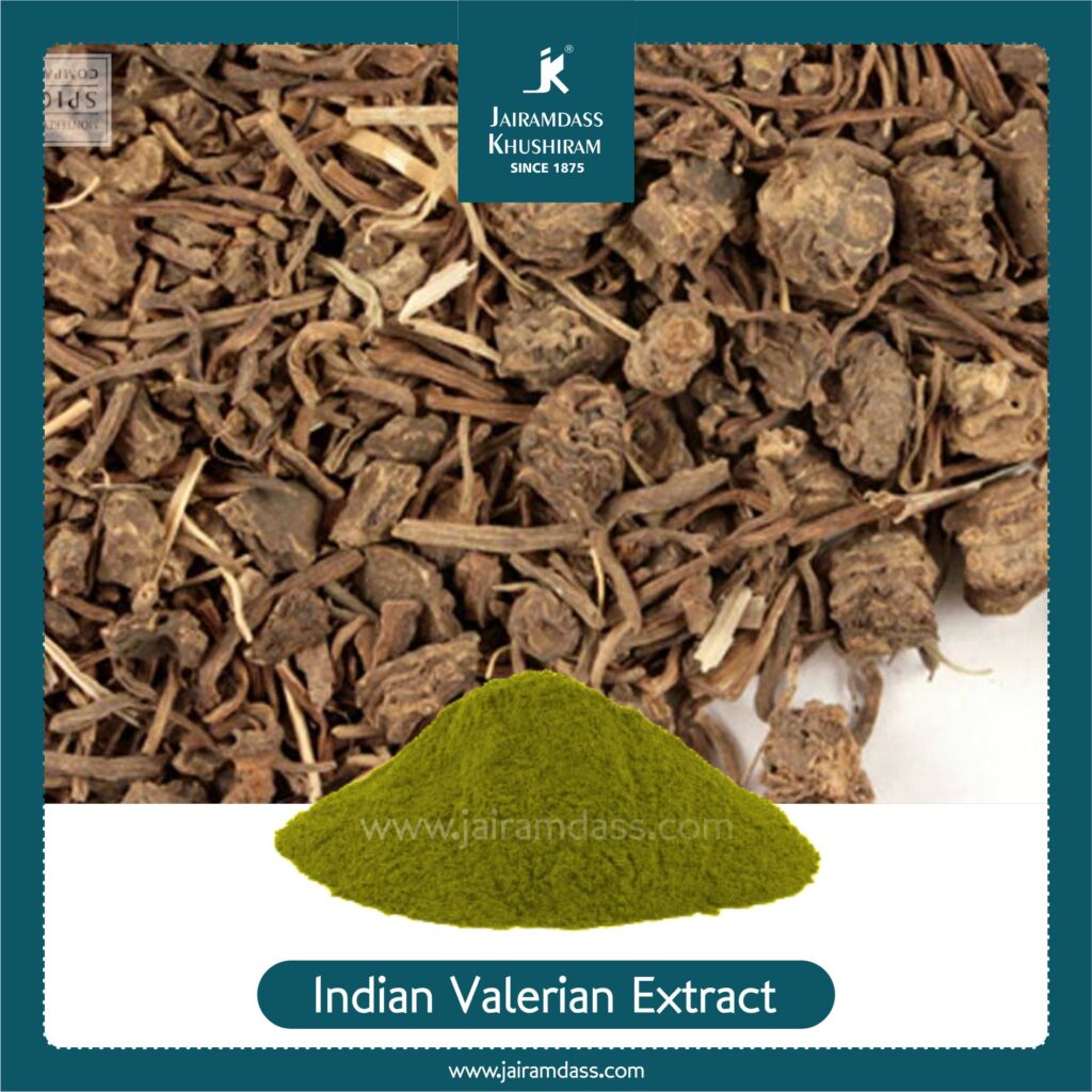 Indian Valerian Root Extract | Valerian Wallichii | Herbal Extracts ...