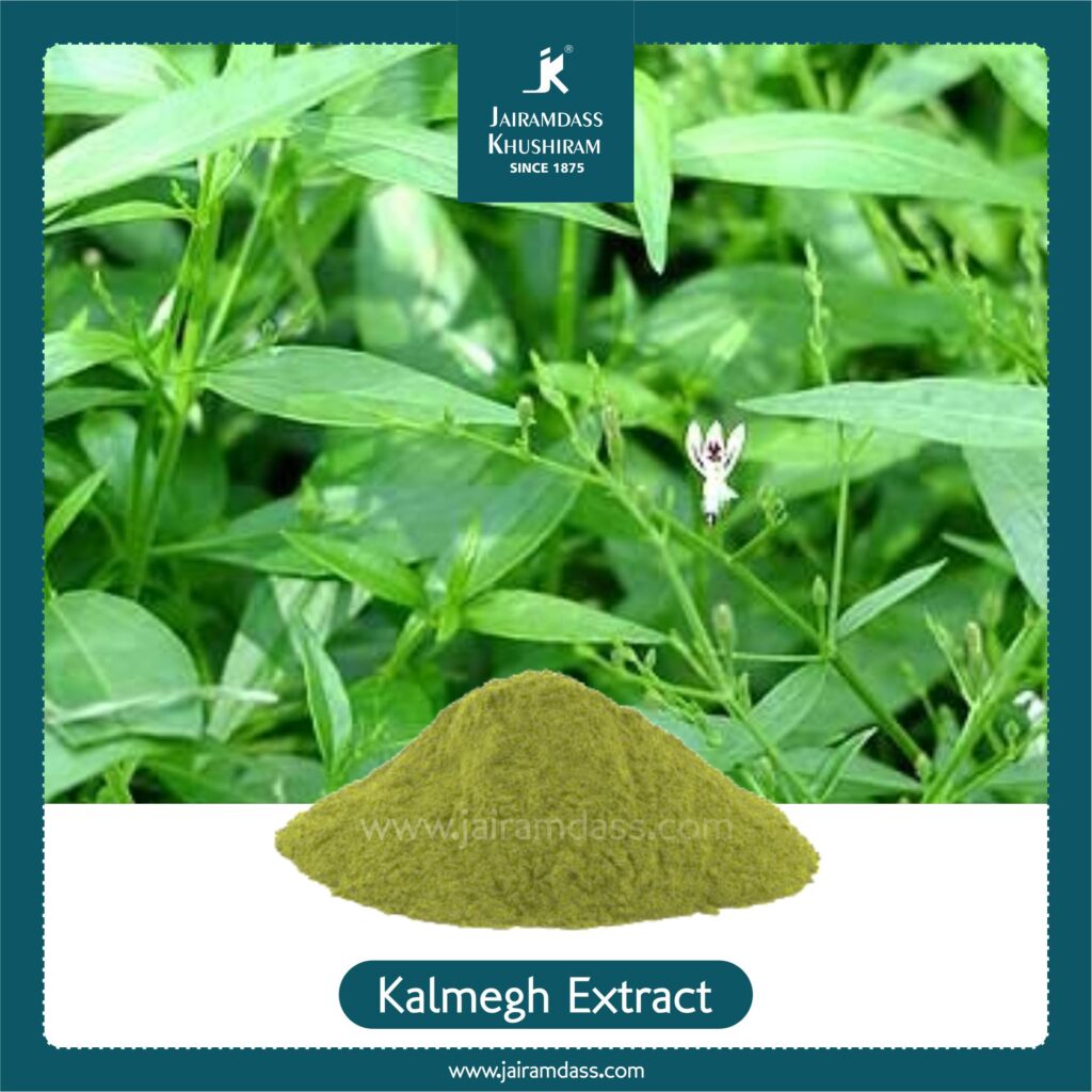 Manufacturer of Andrographis Paniculata Extract I Kalmegh extract
