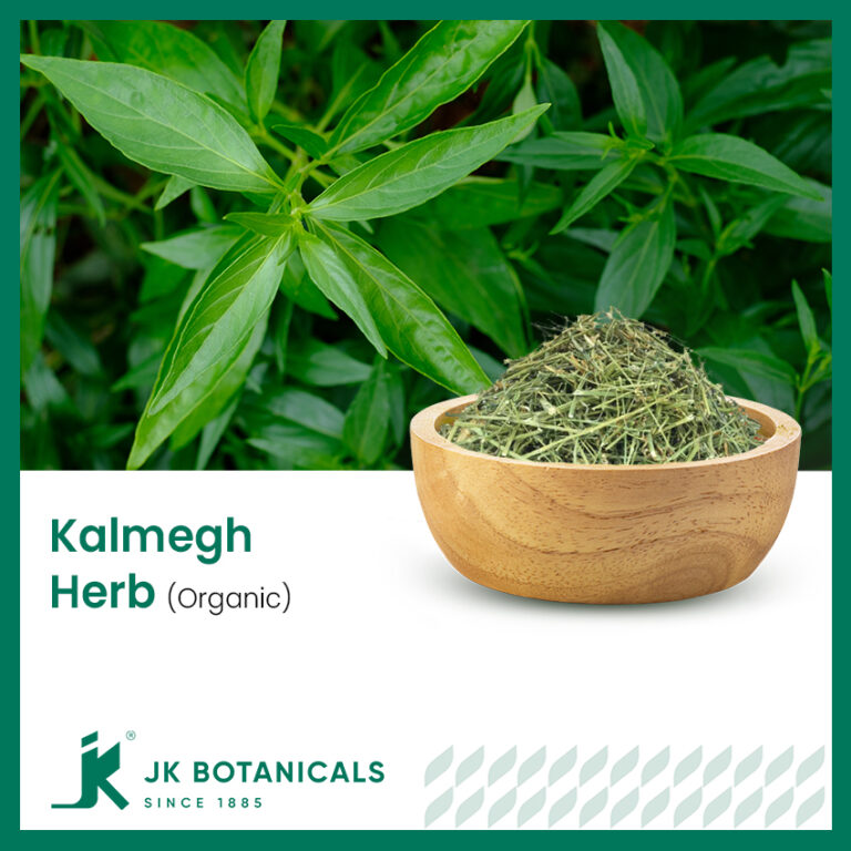 Andrographis Herb Organic | Andrographis Paniculata | JK Botanicals