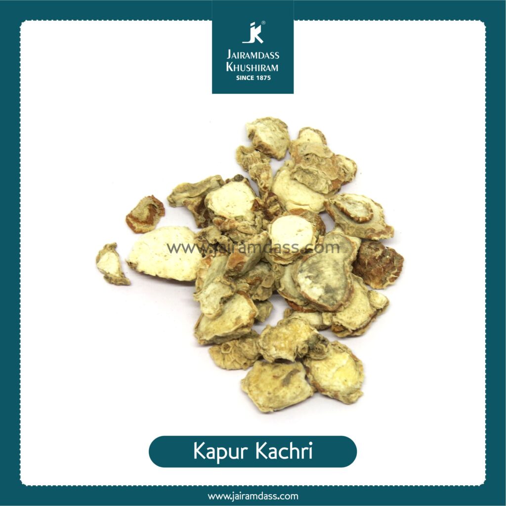 Zedoary Root | Curcuma Zedoaria | Kapur Kachri | Herbs | JK Botanicals