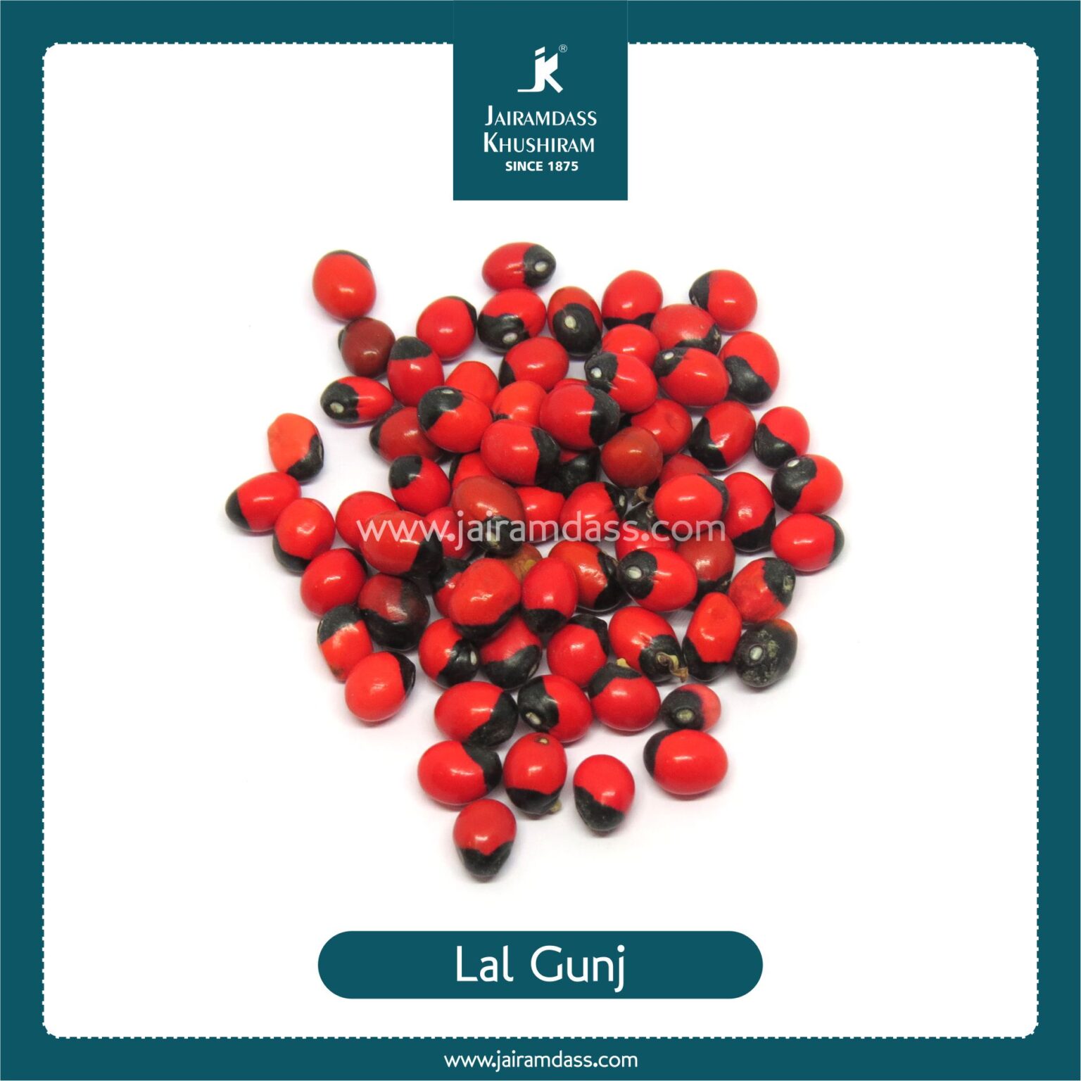 Jequirity Seeds | Abrus Precatorius | Herbs | Jairamdass Khushiram