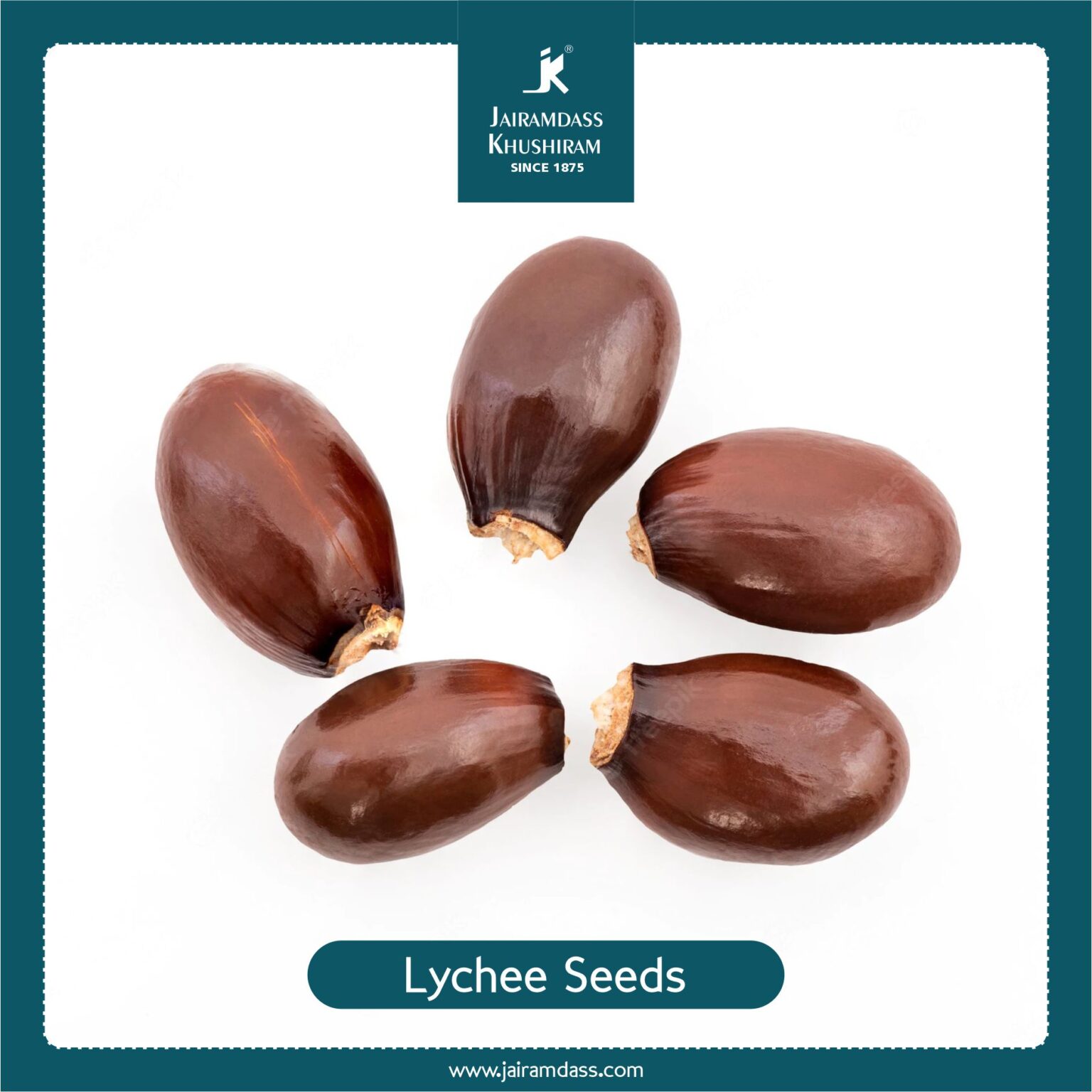 Lychee Seeds | Litchi Chinensis | Herbs | Jairamdass Khushiram