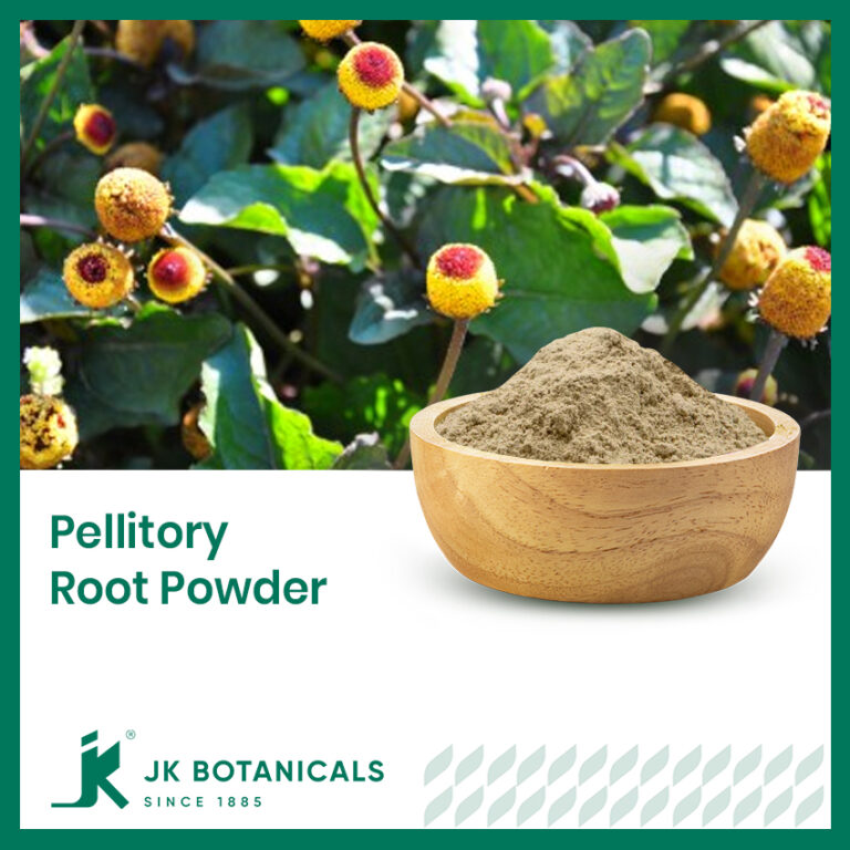 Pellitory Root Powder | Anacyclus Pyrethrum | Botanical Powders ...