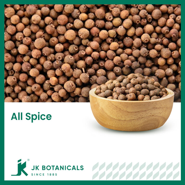 Allspice Berries | Pimenta Dioica | Spices | JK Botanicals
