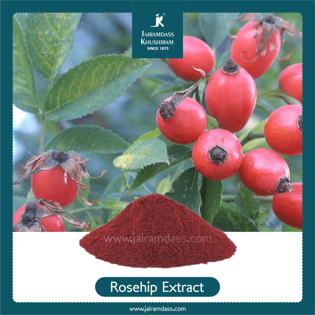 Rose Hip Extract | Rosa Canina | Herbal Extracts | JK Botanicals