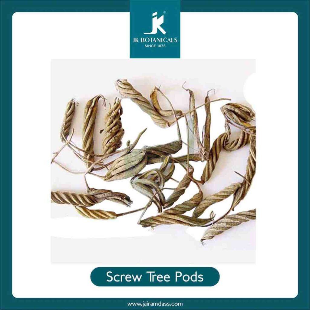 Screw Tree Pods | Helicteres Isora | Herbs | JK Botanicals