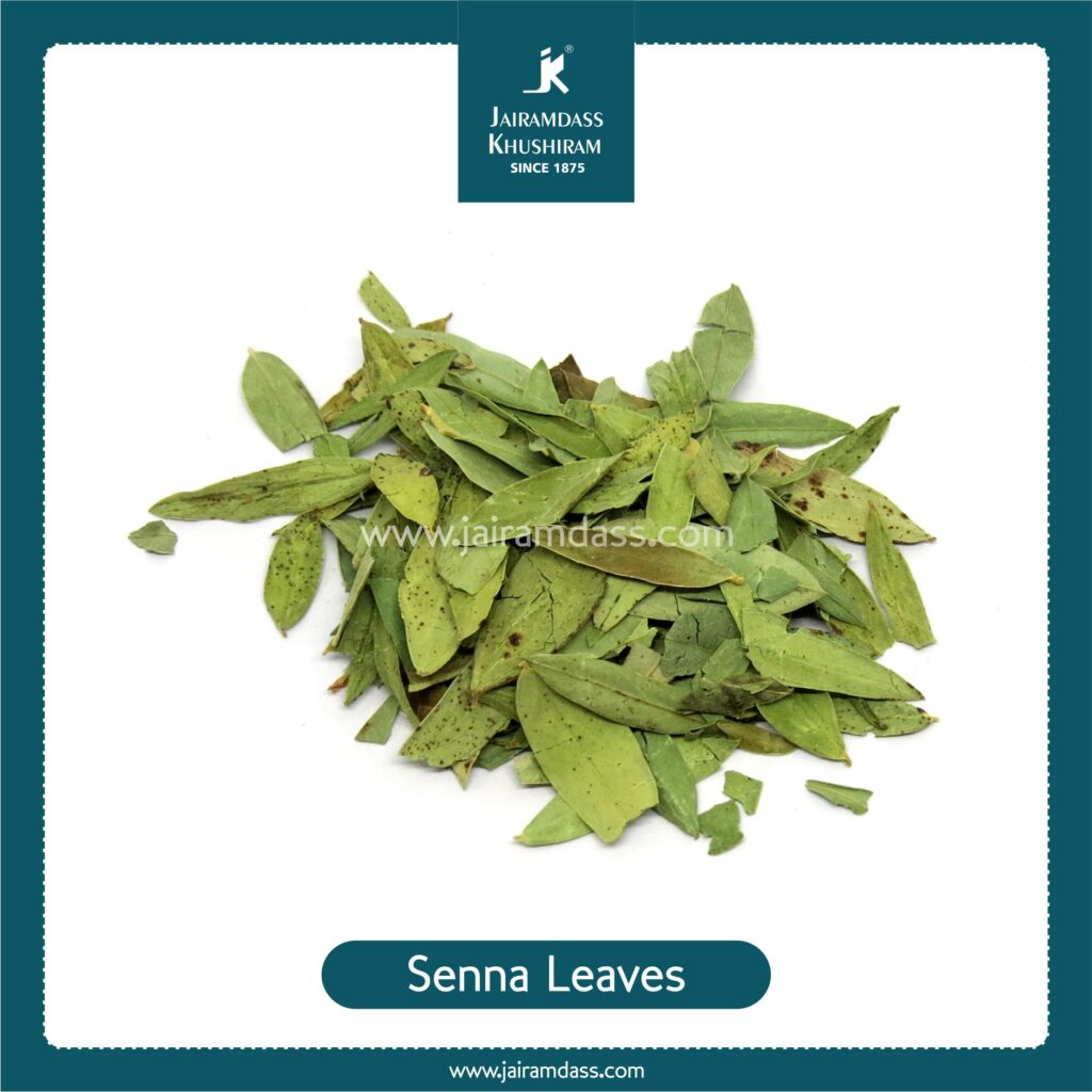 Senna Leaves | Cassia Angustifolia | Herbs | Jairamdass Khushiram