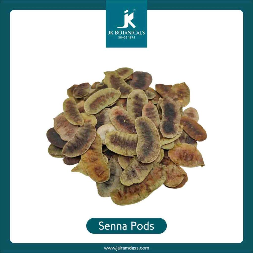 Senna Pods | Cassia Angustifolia | Herbs | JK Botanicals