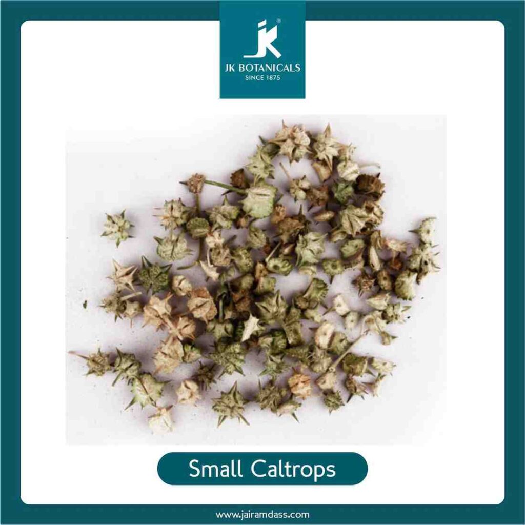 Small Caltrops | Tribulus Terrestris | Tribulus | Herbs | JK Botanicals