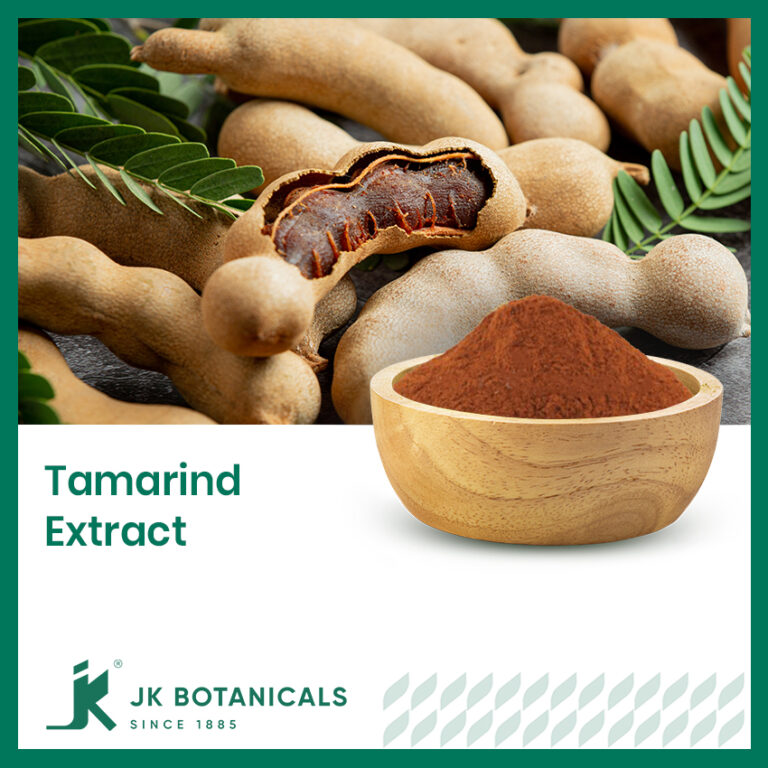 Tamarind Fruit Extract | Tamarindus Indica | Herbal Extracts | JK ...