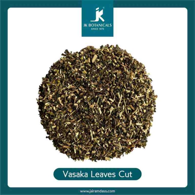 Vasaka Leaves Cut | Adhatoda Vasica | Malabar Nut Tea | Herbal Teas ...