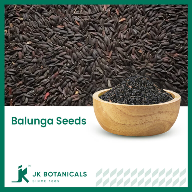 Balanga Seeds | Lallemantia Royleana | Herbs | JK Botanicals