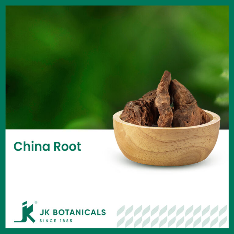 China Root | Smilax China | Herbs | JK Botanicals
