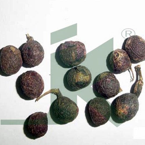 Indian Berry / Fish Berry Seeds | Cocculus Suberosus | Herbs ...