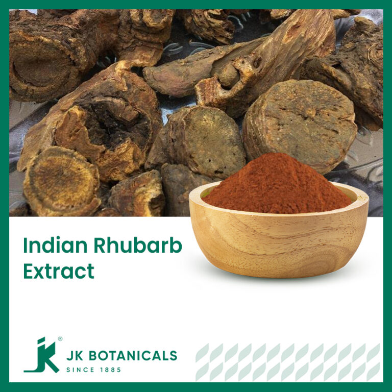 Manufacturer of Rhubarb Extract I Rheum Emodi Extract