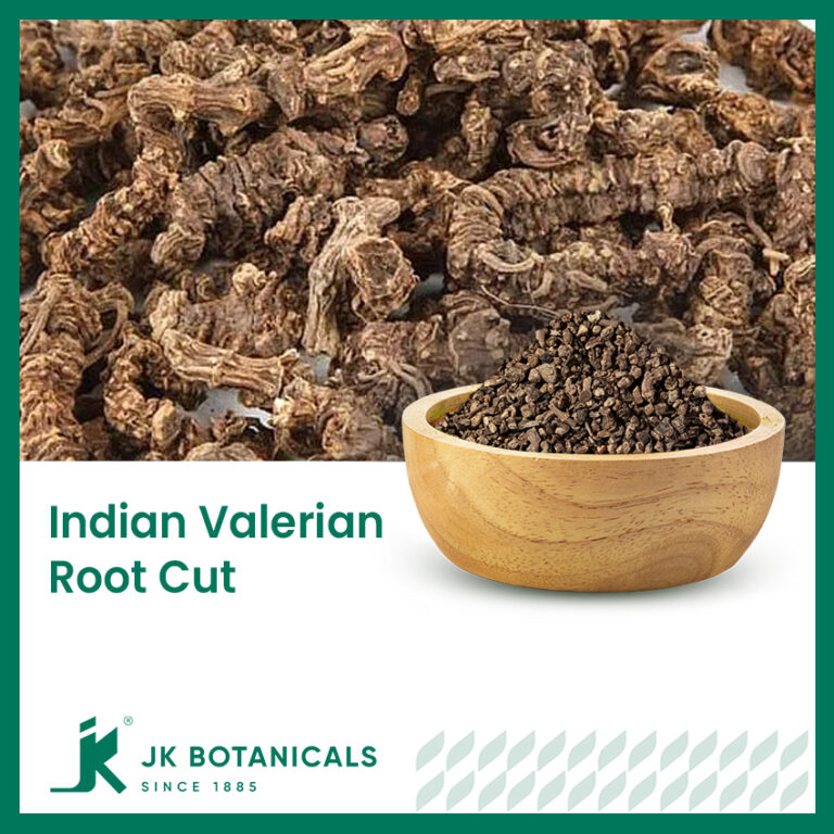 Indian Valerian Root Cut | Valeriana Wallichii | Herbal Teas | JK ...