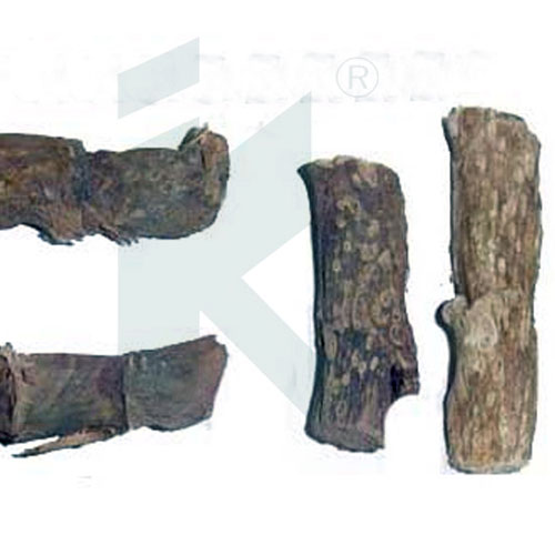 Sweet Flag Root | Acorus Calamus | Herbs | Jairamdass Khushiram